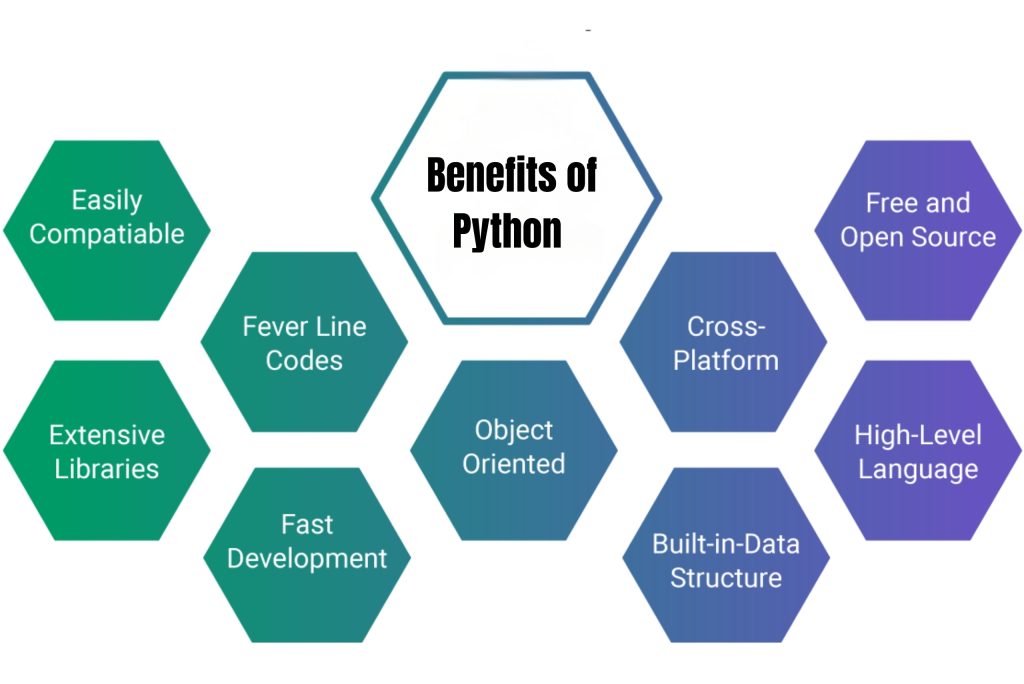Python Development Services | Custom Python Solutions by Woo Rankers